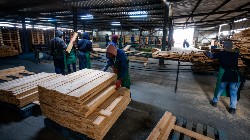 Board Stacker / General Worker Jobs 2026 – Tekwani Lomati Sawmill ...